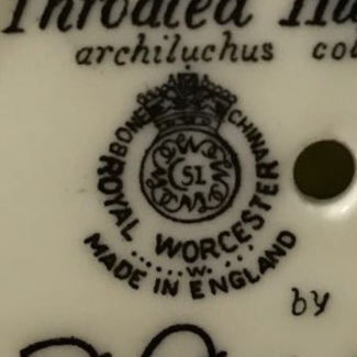 Royal Worcester Marks